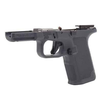 Ruger RXM Grip Module + FCI | Glockstore.com